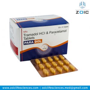 PARADOL TABLET